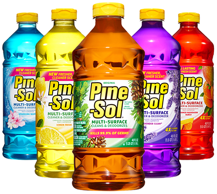My Career. Powered by Pine-Sol. « Strum Consulting Group